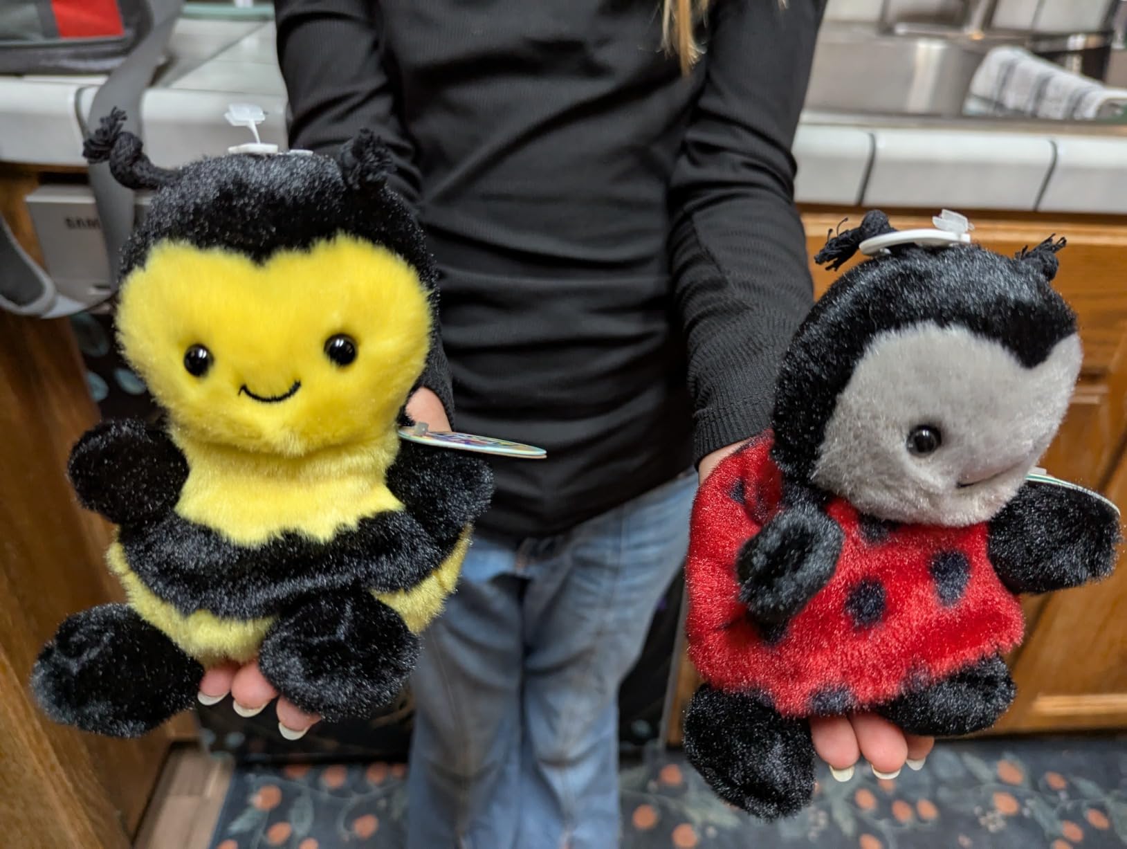 Amazon.com: Aurora Palm Pals Set of Two - Queeny Bee and Spots Ladybug ...