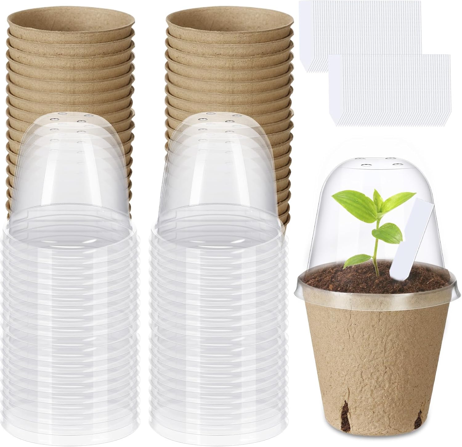 Amazon.com: Aulock 36 Sets Plant Nursery Pots with Humidity Dome - 3in ...