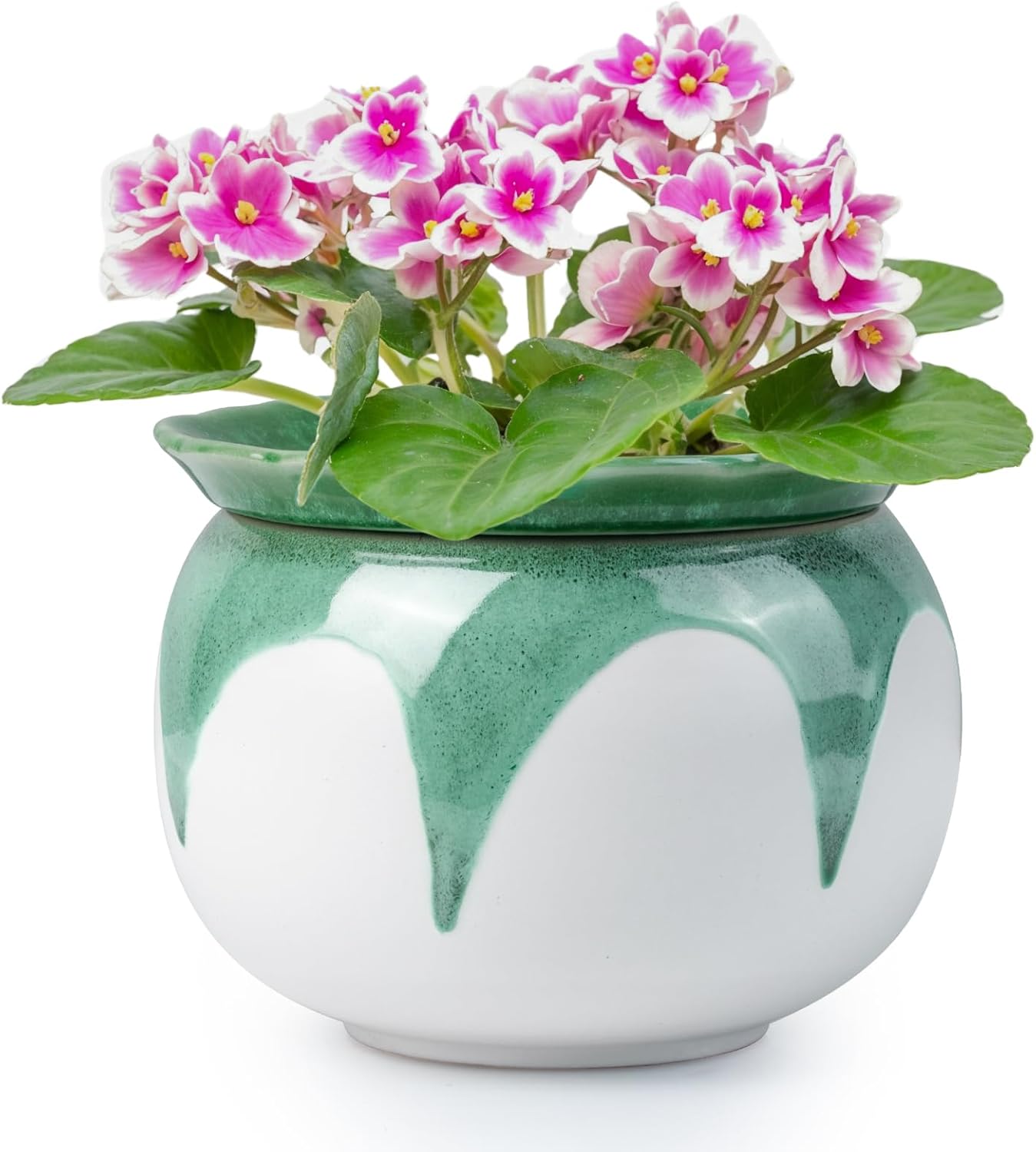 Amazon.com: LITUDISO African Violet Pots, 6 Inch Self Watering Pots for ...