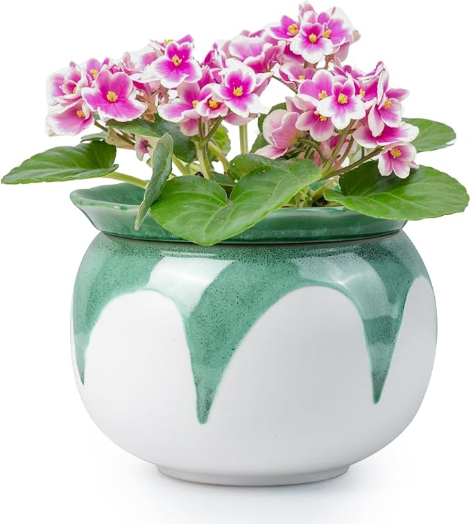 Amazon.com: LITUDISO Self Watering Pots for Indoor Plants, 6 Inch ...