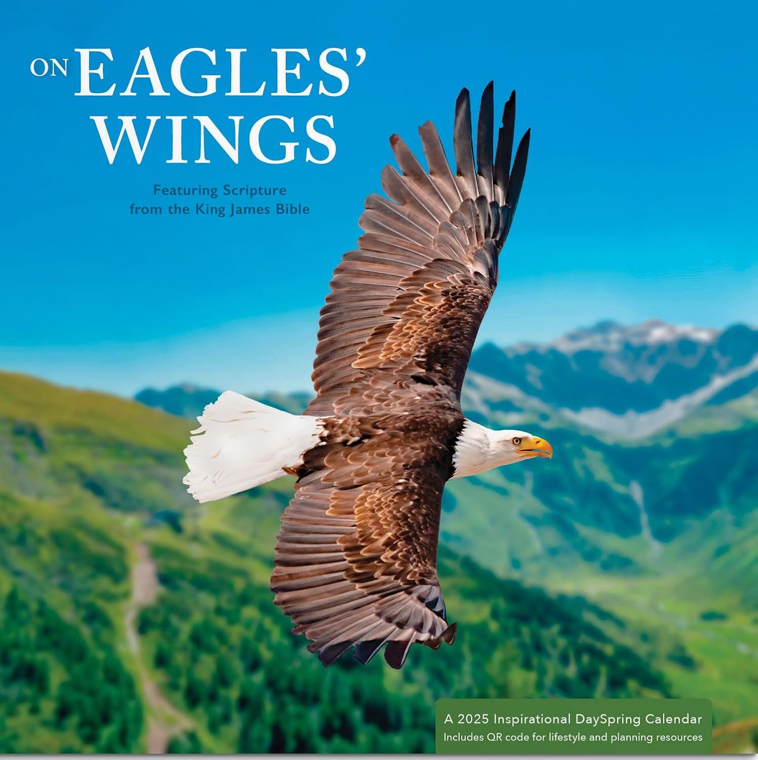 On Eagle's Wings Featuring Scripture From the King James Bible: A 2025 ...