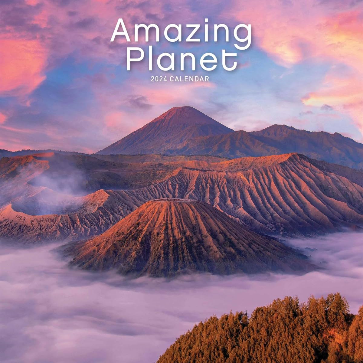Amazing Planet Mini Calendar 2024 : Amazon.in: Office Products