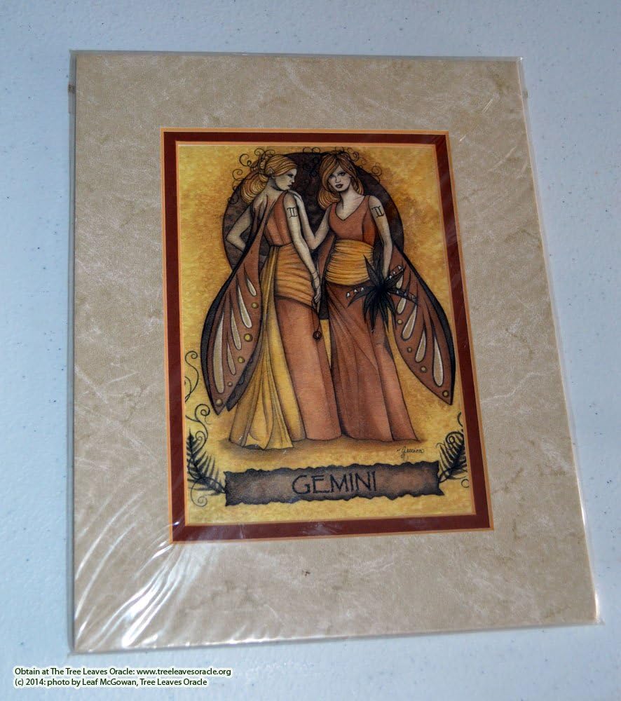 Amazon.com: Jessica Galbreth Art Print - Gemini Faeries: Posters & Prints