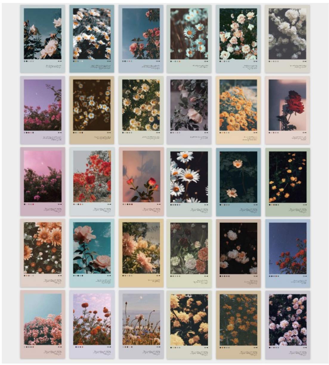 Snapklik.com : The Corner Of The Garden Wall Collage Kit, 30 Set 3.6x5 ...