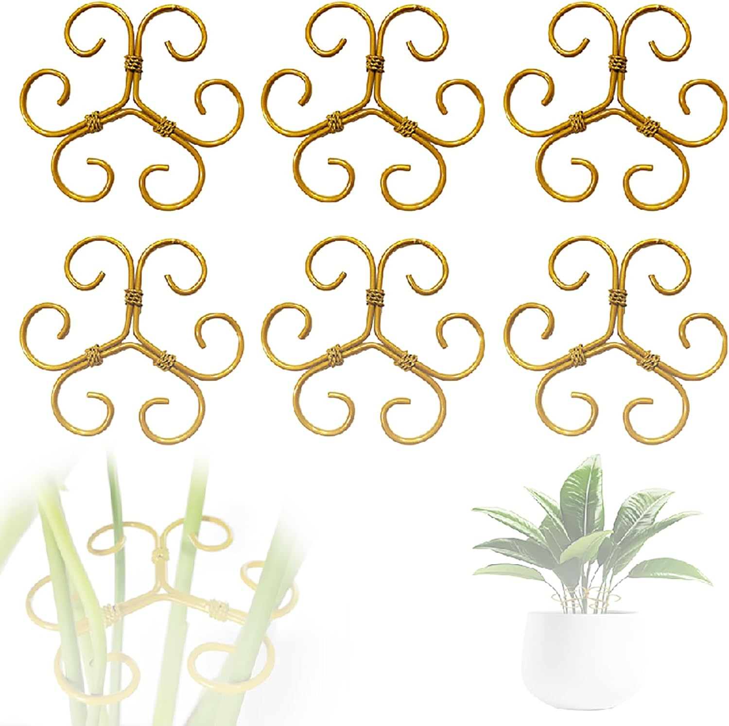 Amazon.com : Plant Stem Support Set, Plant Supports Climbing Houseplant ...