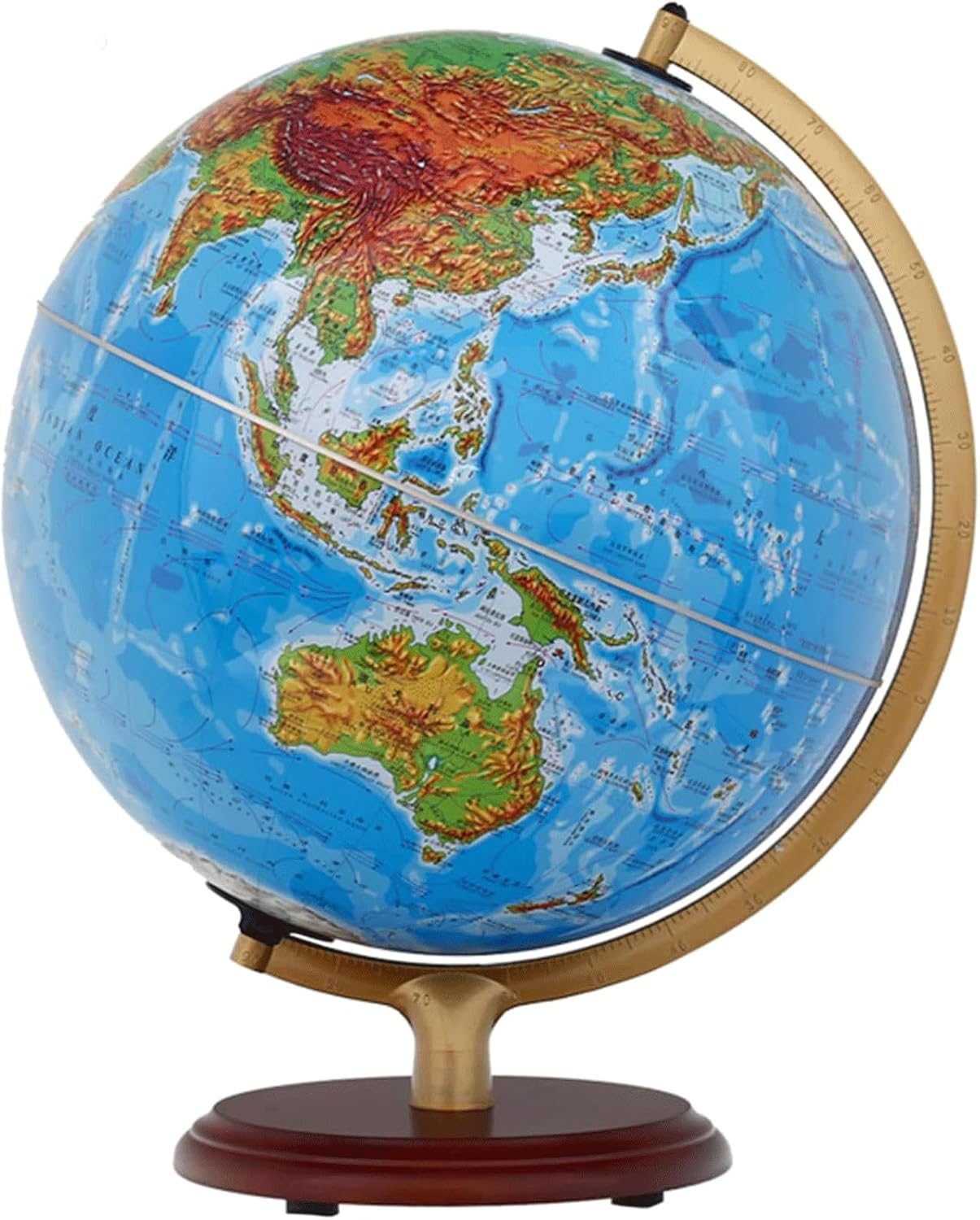 Amazon.com: Educational Dia 10-inch/25CM Globe, Colorful Easy-Read High ...