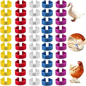MEISO 100pcs Chicken Leg Rings, 5 Colors Numbered Chicken Leg Bands ...