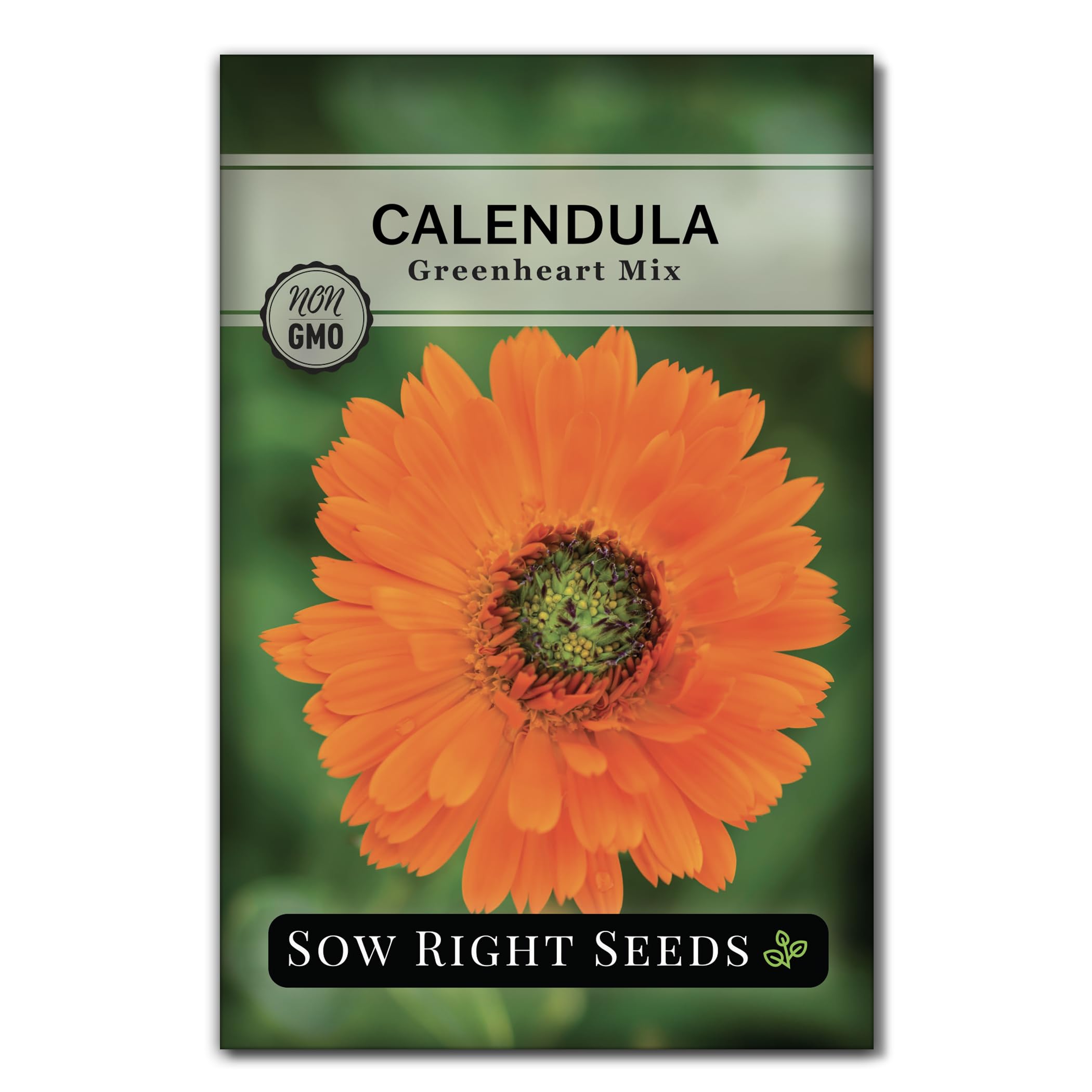 Amazon.com : Sow Right Seeds - Greenheart Mix Calendula Seeds for ...