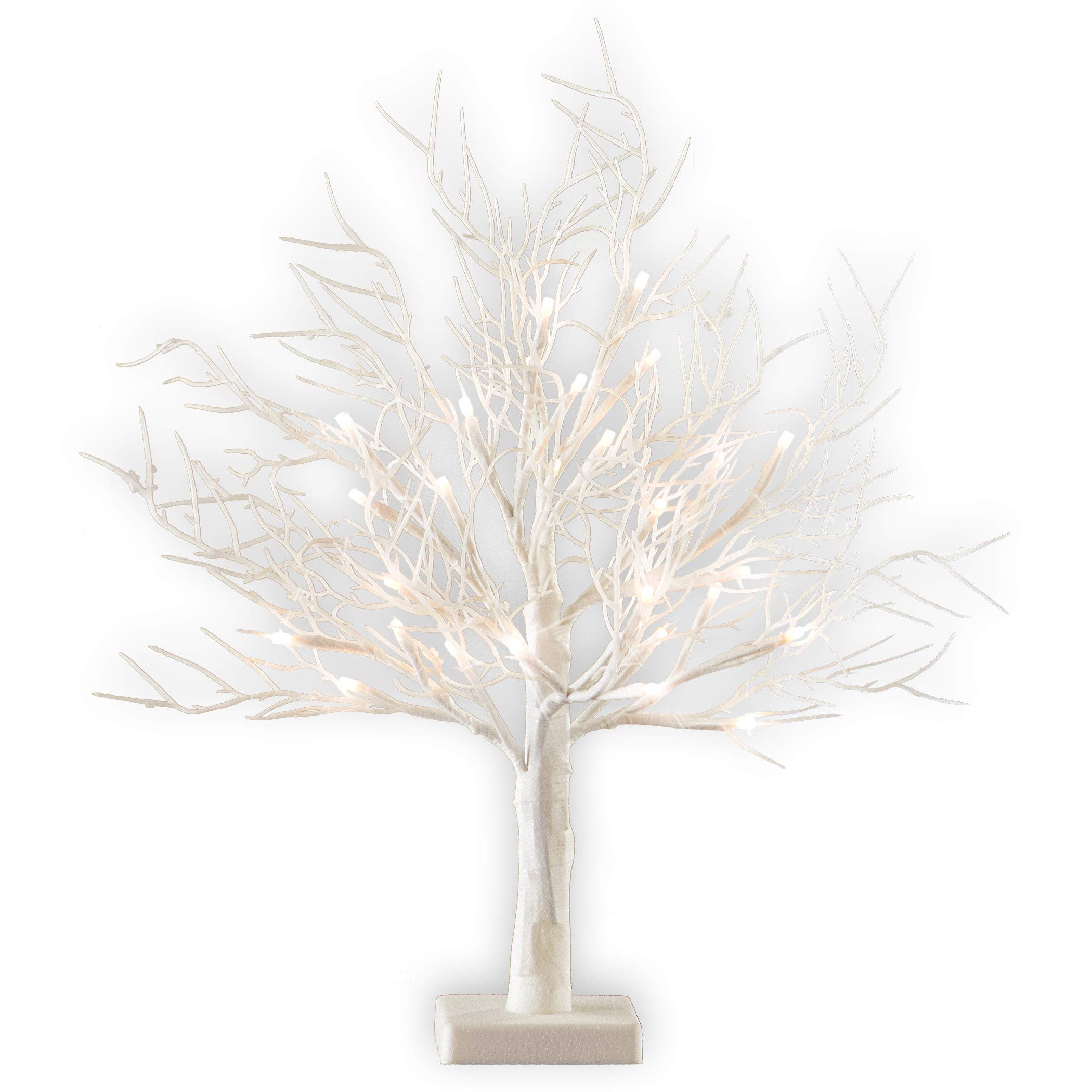 Amazon.com: Collections Etc Lighted LED Frosted White Tabletop Tree ...