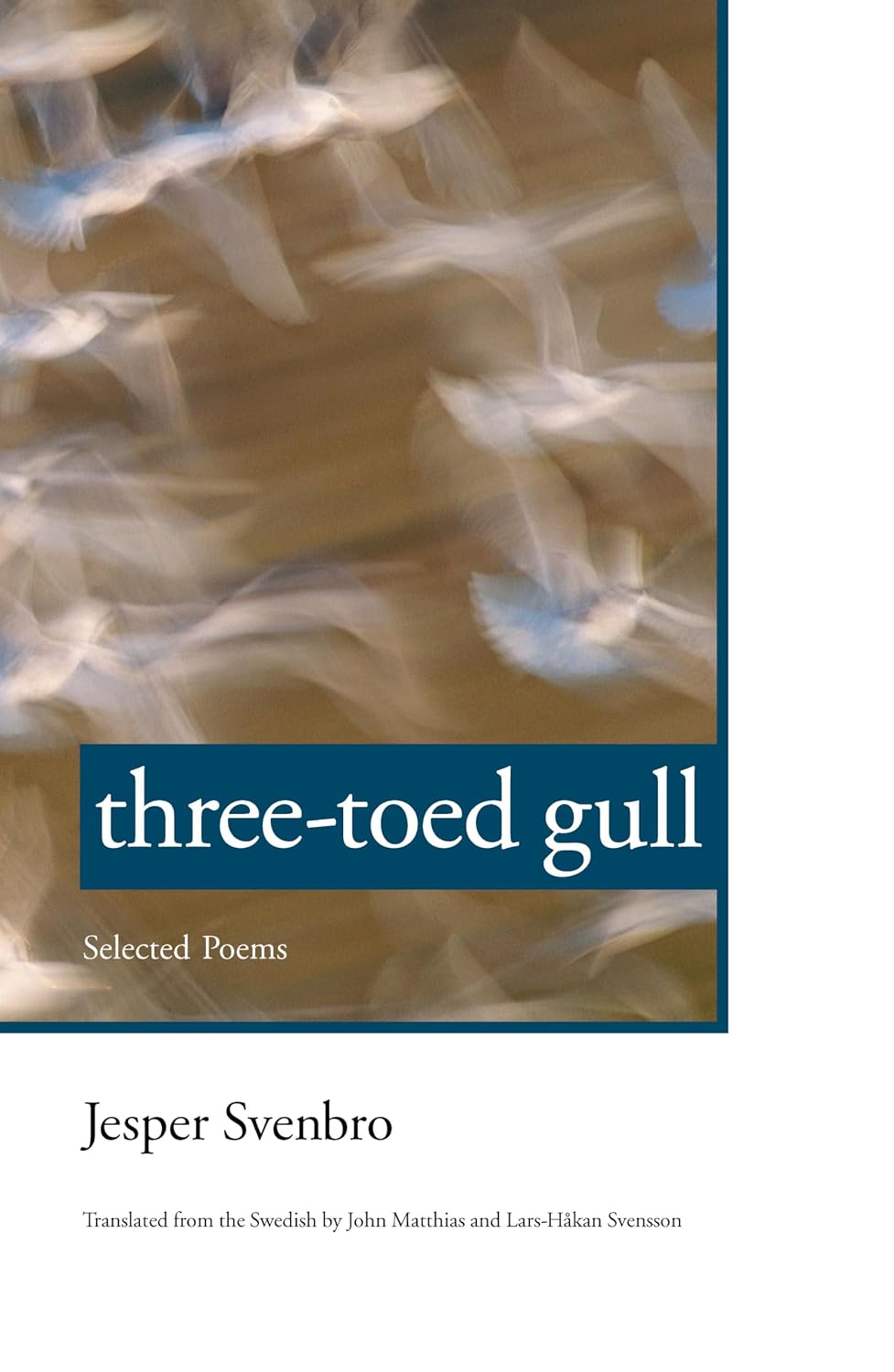 Amazon.com: Three-Toed Gull: Selected Poems: 9780810120426: Svenbro ...