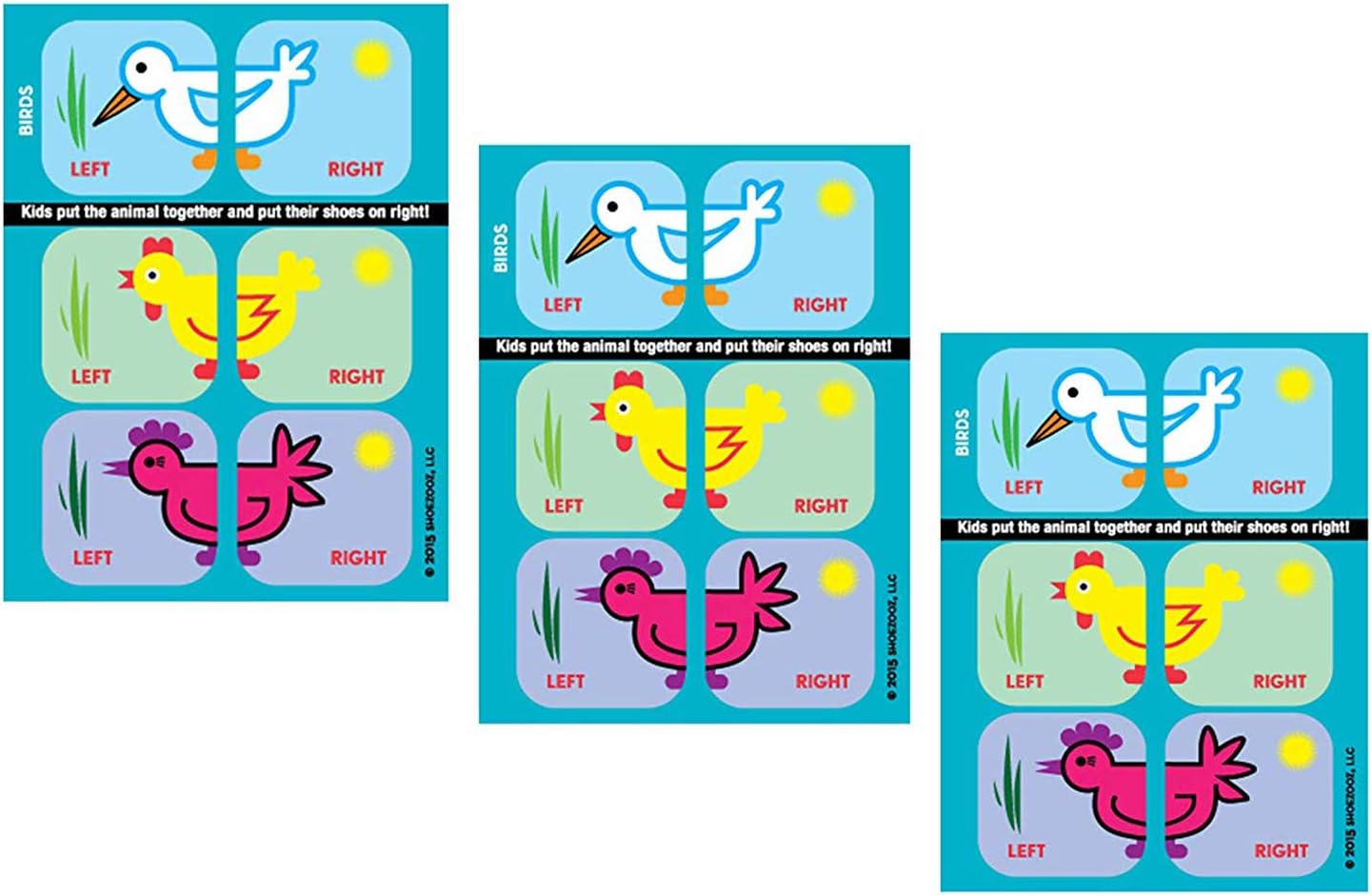 Amazon.com: Shoezooz Educational Shoe Stickers for Kids - The Original ...
