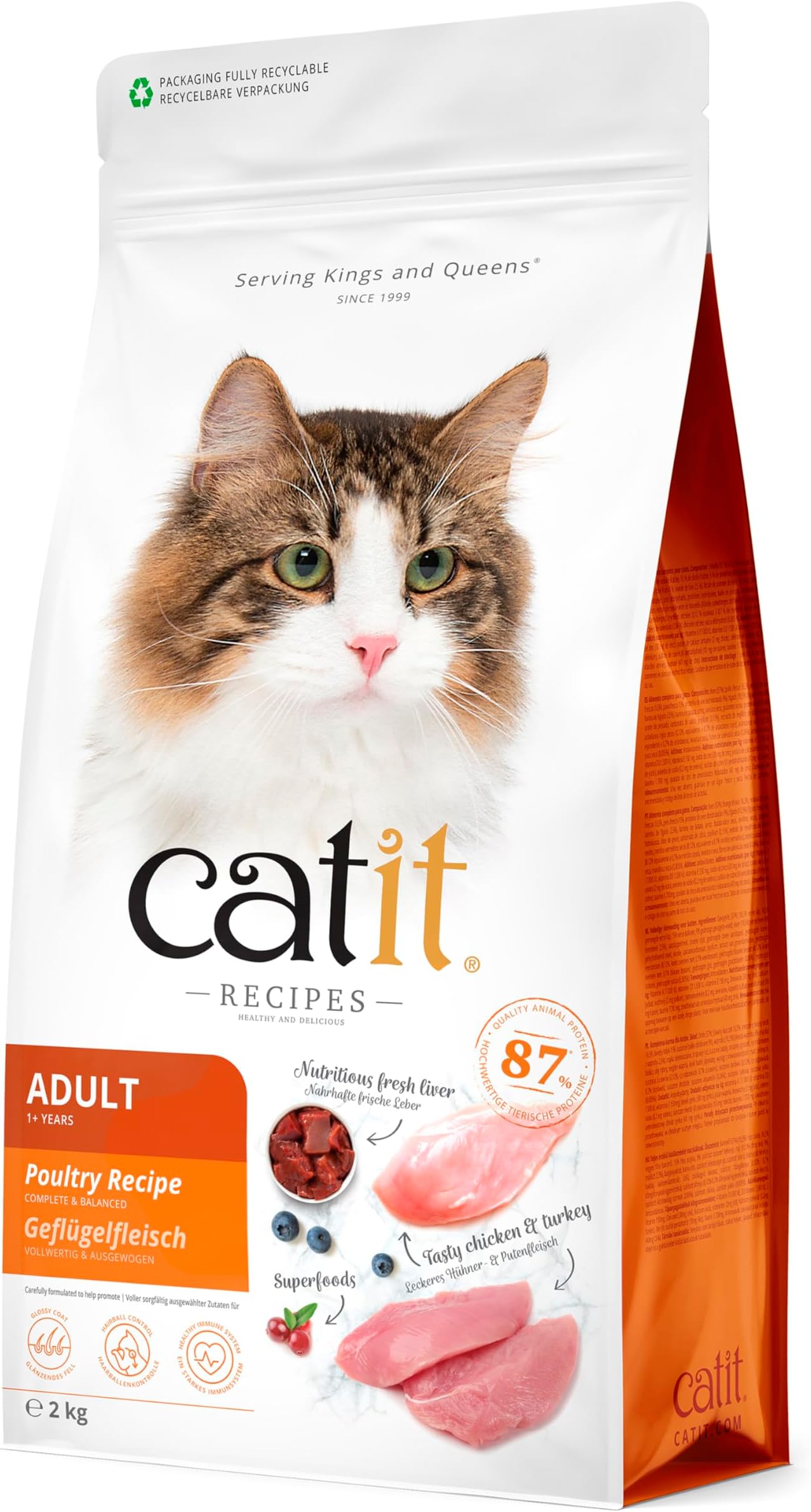 Catit Recipes Adult Poultry Dry Cat Food, Natural Grain Free Dry Food ...