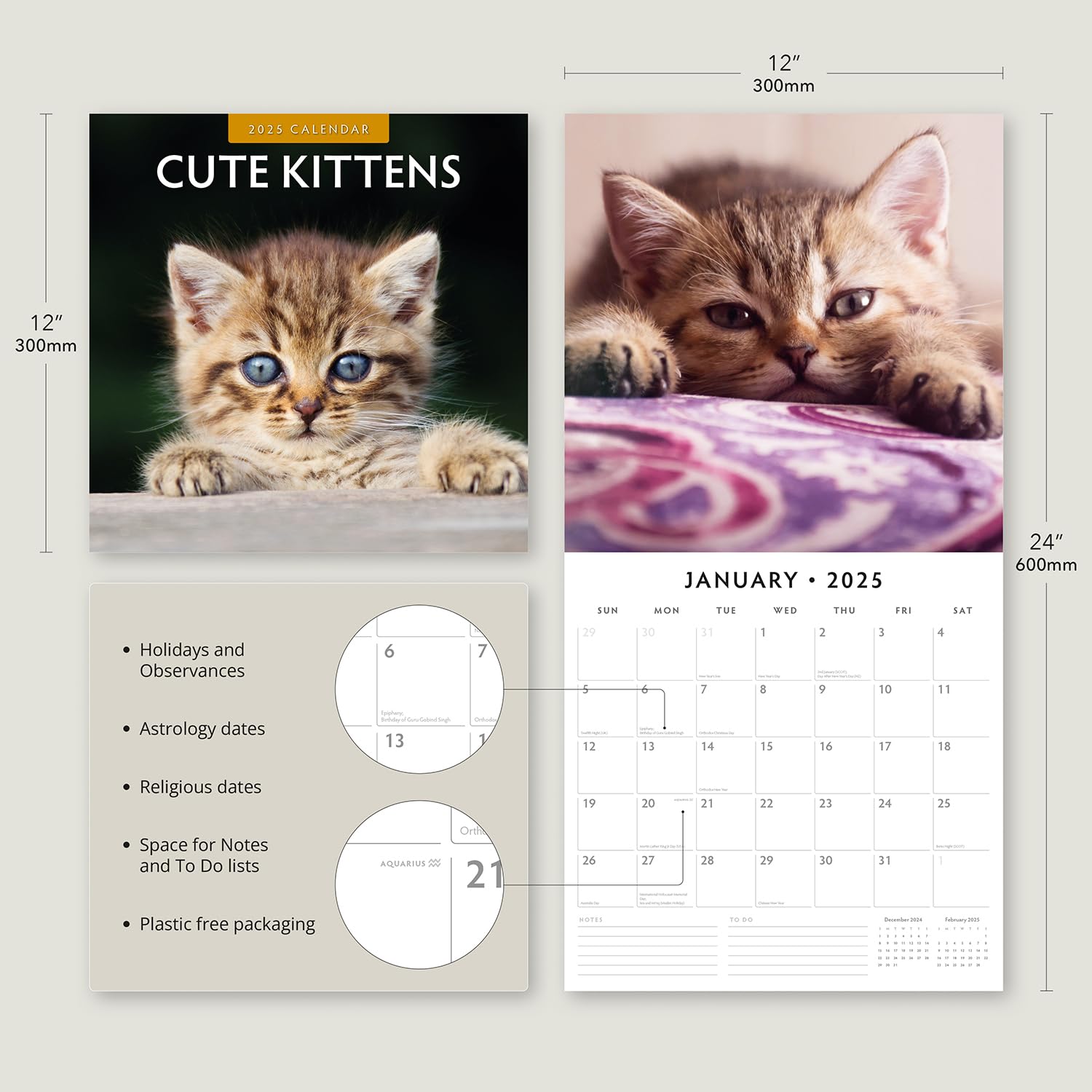 Cute Kittens – 2025 Square Wall Calendar – by Red Robin Publishing ...