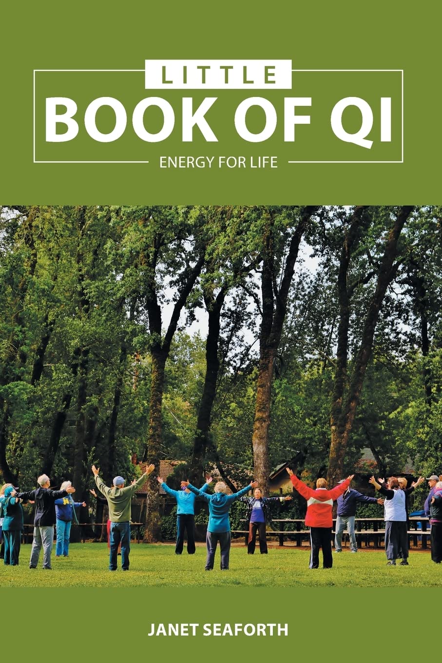 Little Book of Qi: Energy for Life: Seaforth, Janet: 9798765225011 ...
