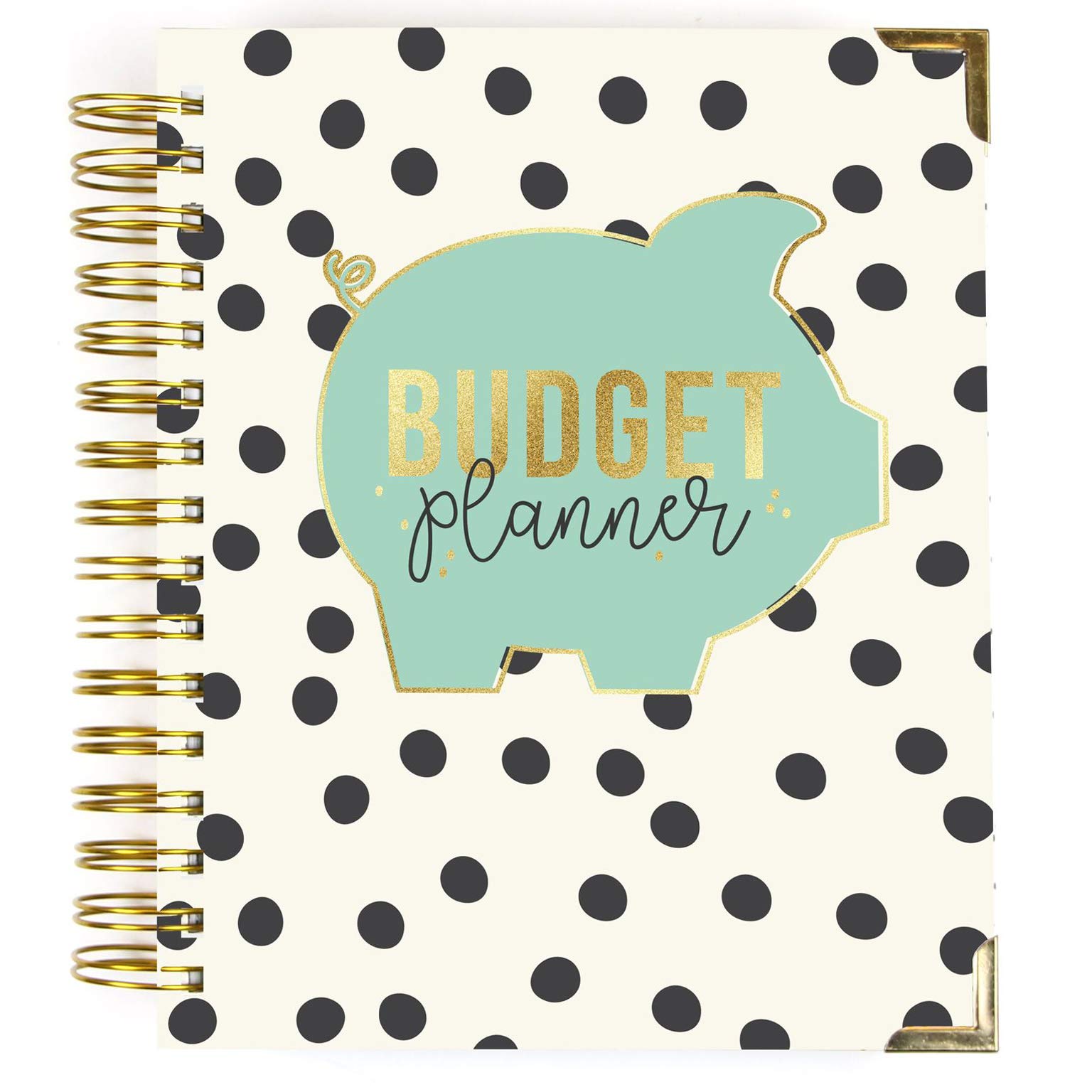Buy Pukka Pad Carpe Diem Budget Planner Spiral Bound Includes 12 