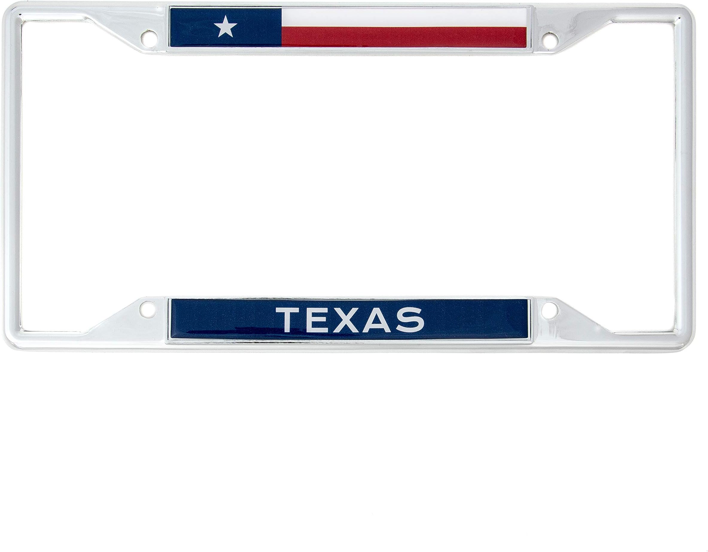 Amazon.com: Desert Cactus State of Texas Flag Car Accessories Texan ...