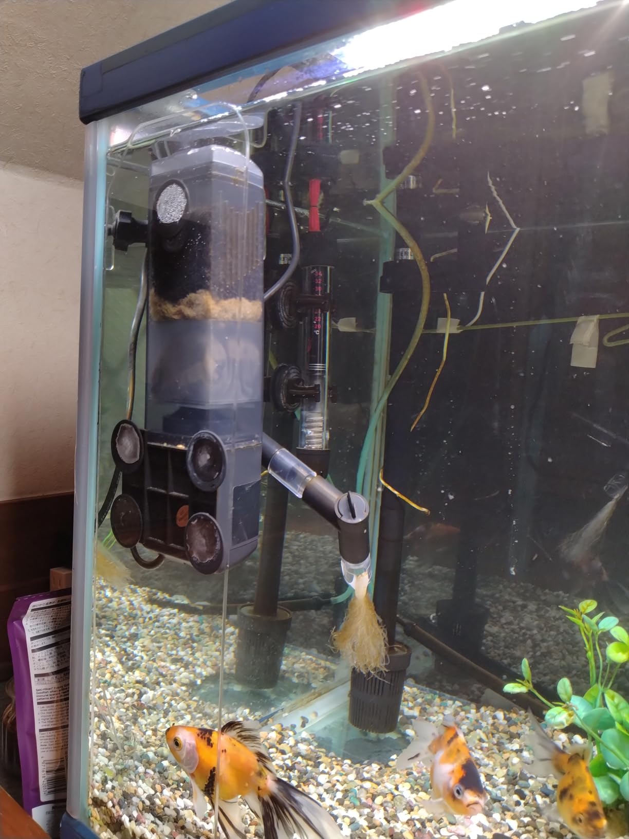 Amazon | ジェックス GEX AQUA FILTER e-ROKA イーロカ PF701 ロングシャワー方式 エアレーション機能 流量調整機能付き水中モーターフィルター幅60-90cm ...