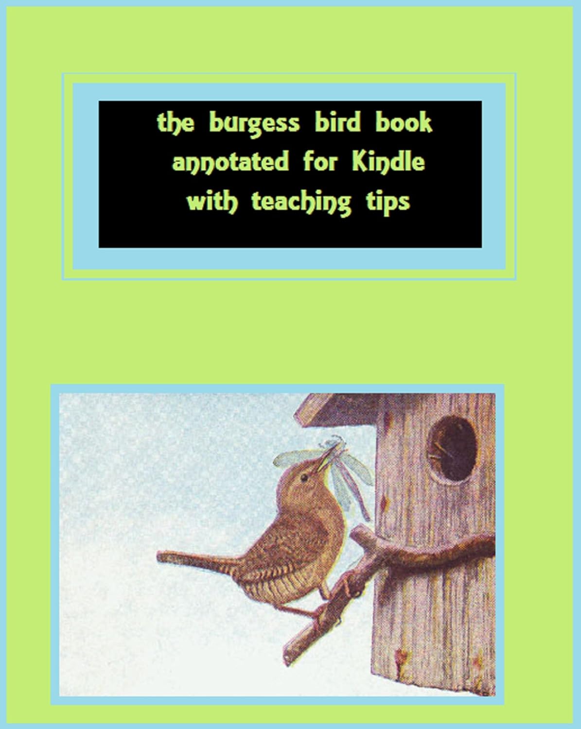 Amazon.com: The Burgess Bird Book for Children (Annotated):,Adapted for ...