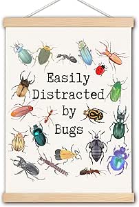Amazon.com: Bug Wall Decor, Insect Decor, Easily Distracted by Bugs ...