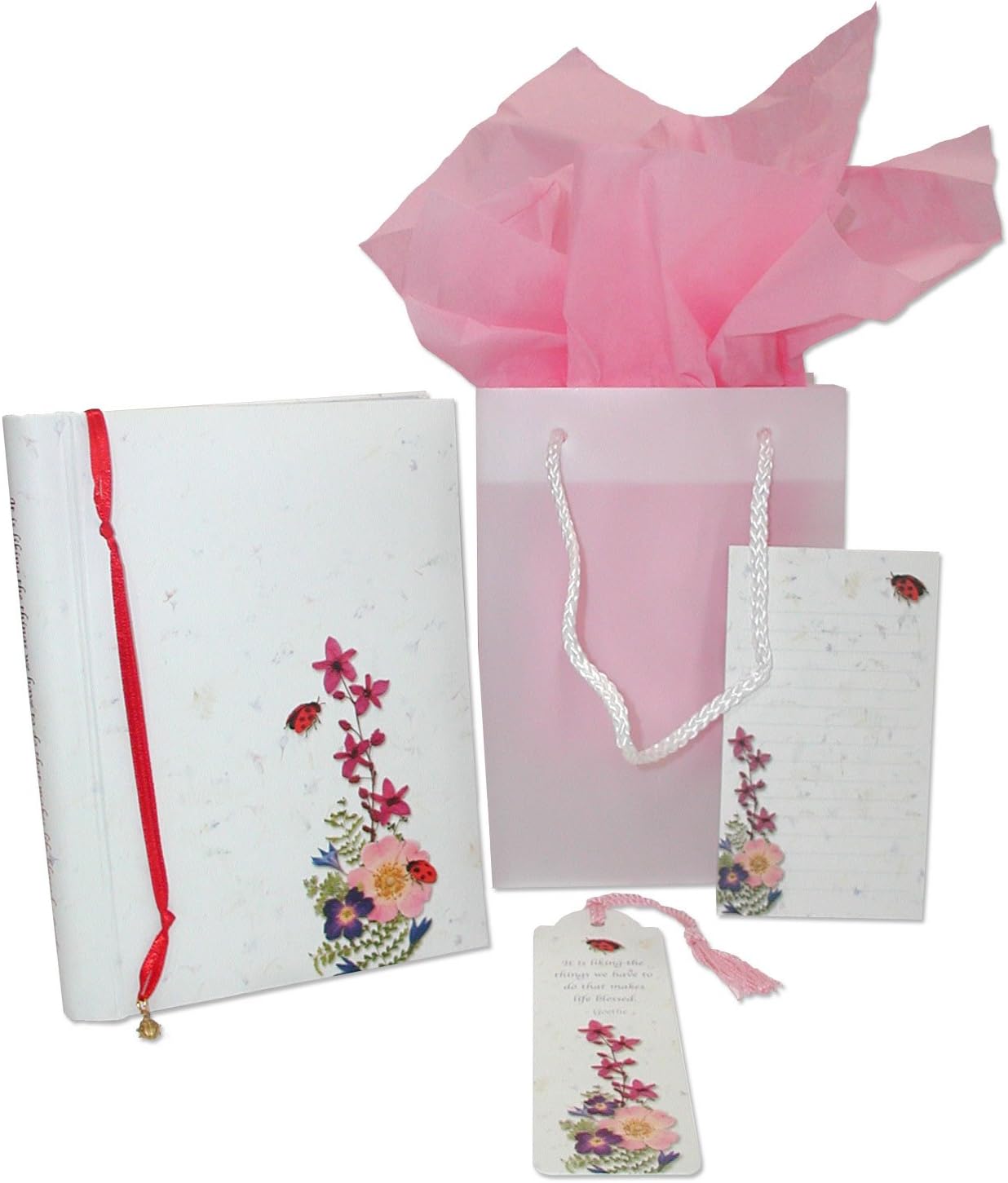 Amazon.com - Ladybug Journal Gift Set - Childrens Diaries