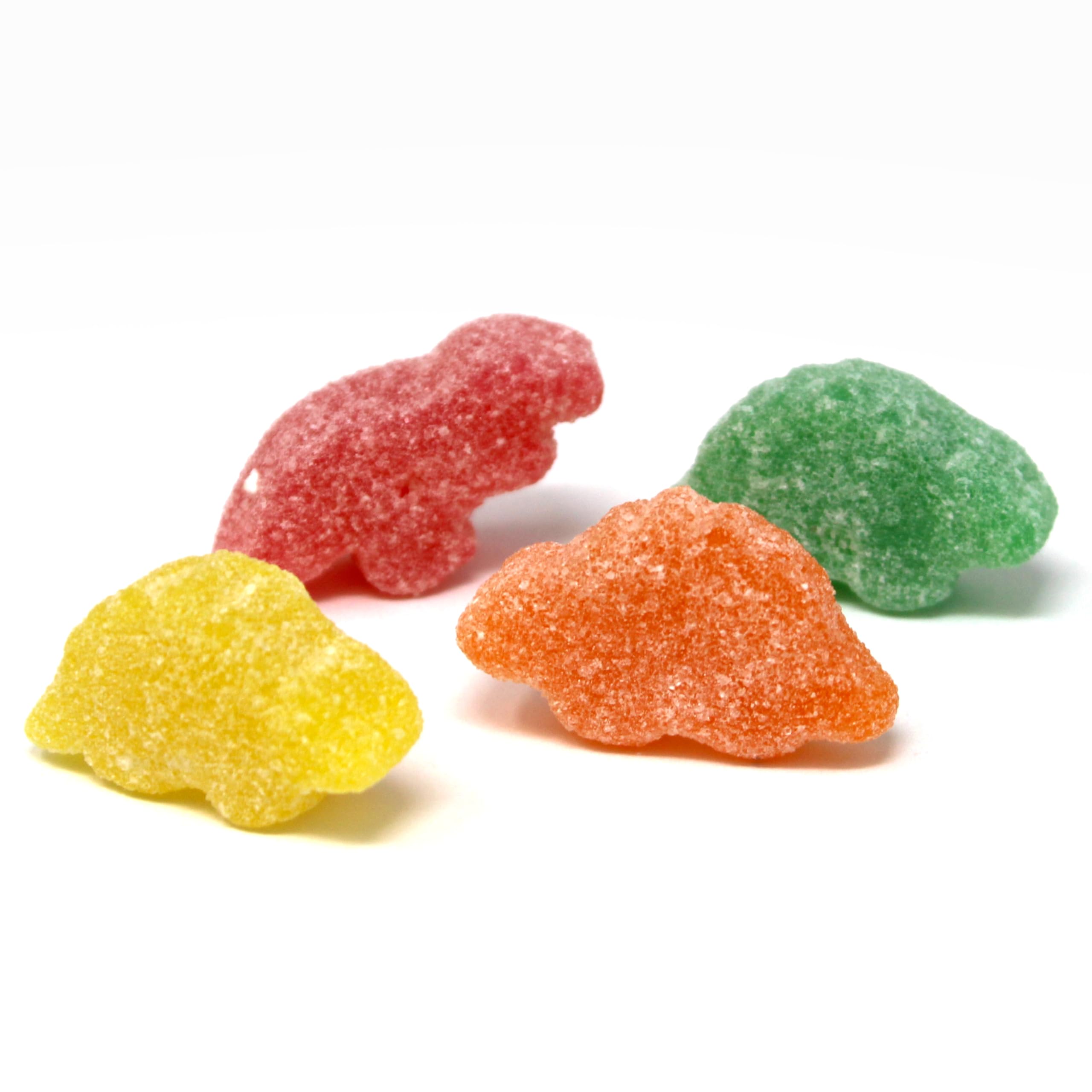 Amazon.com : Dinosaur Jellys - Assorted Jelly Bean Candy - Gummy ...