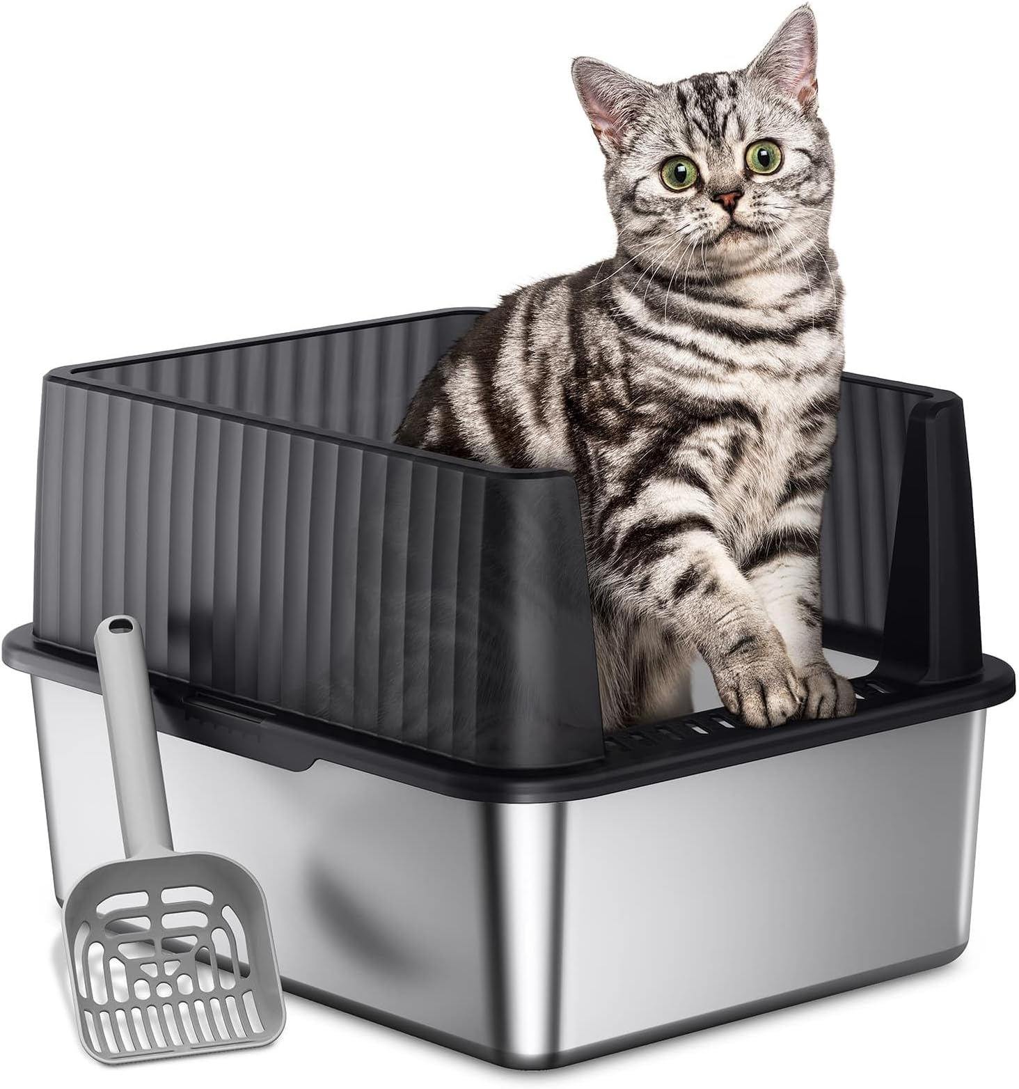 Amazon.com : ONE PIX Stainless Steel Litter Box, Small Cat Litter Box ...