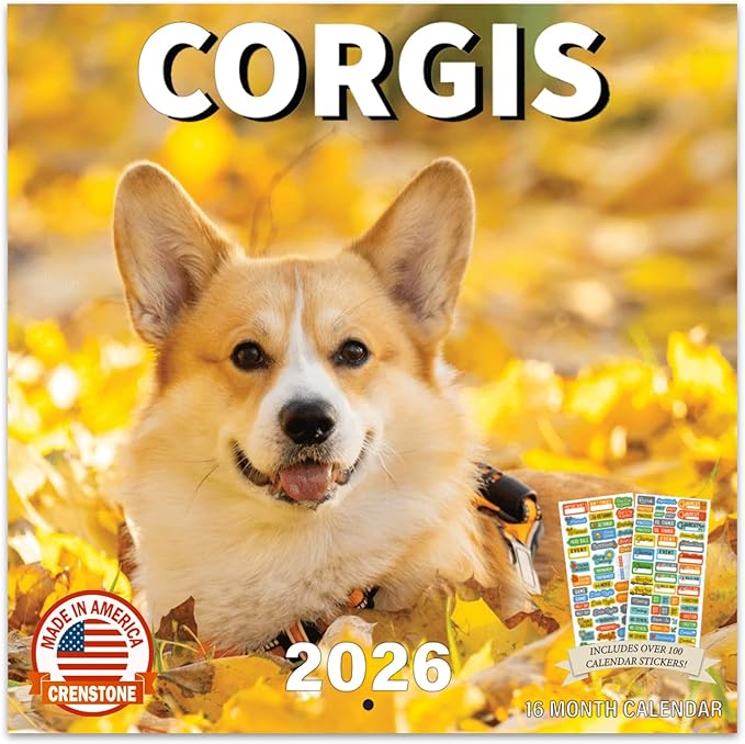 Amazon.com: Corgis Calendar 2026 - Dog Themed Corgis 2026 Wall Calendar ...
