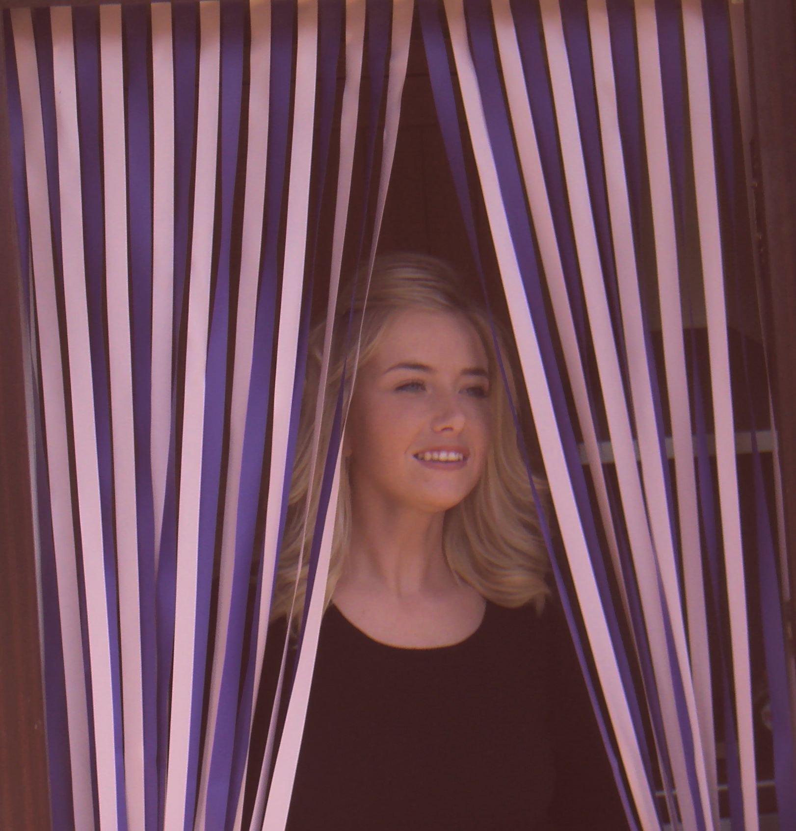 Holland Plastics Original Brand Heavy Duty Bug Blind Fly Blind ...