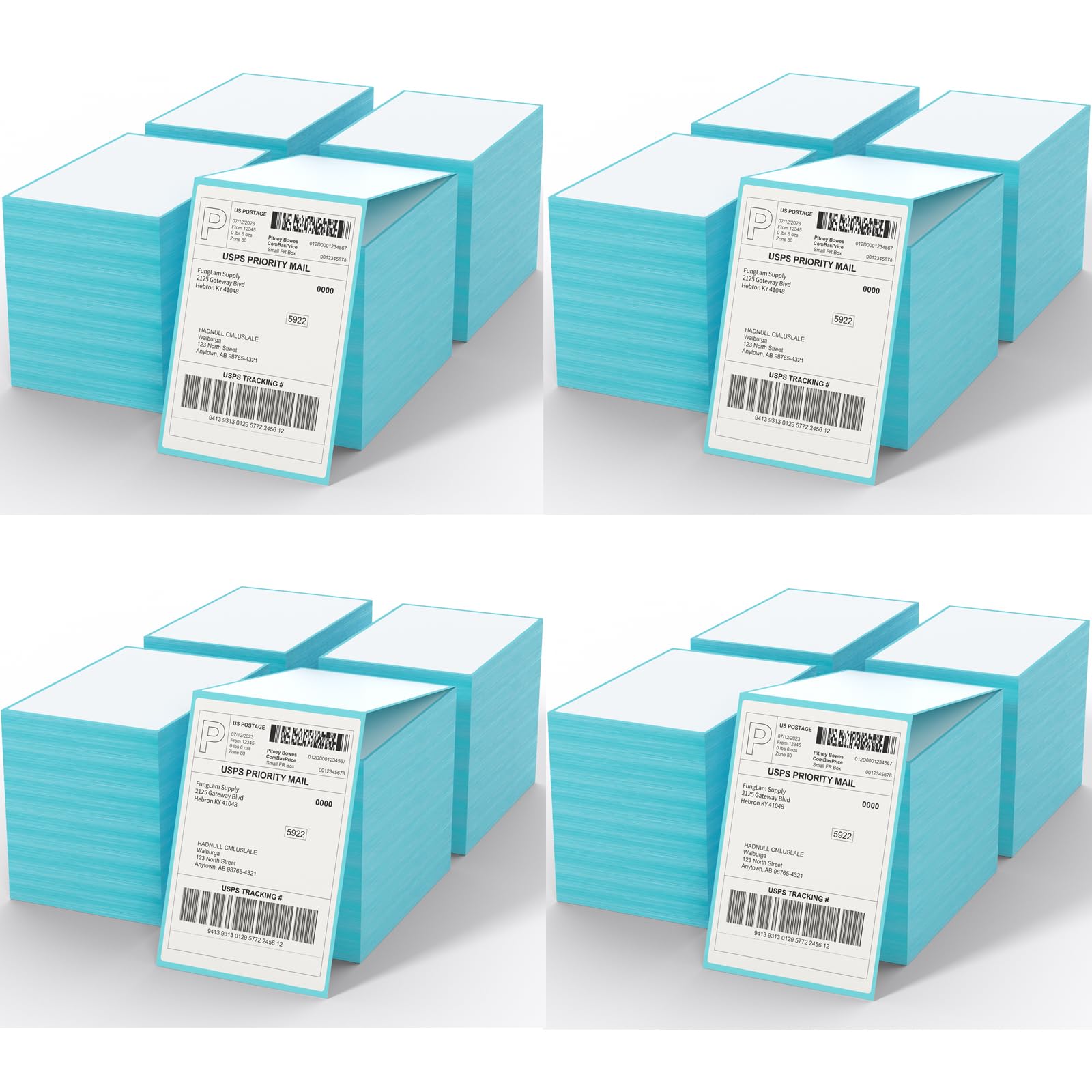 Snapklik.com : FungLam Direct Thermal Shipping Labels - 4x6 Thermal ...