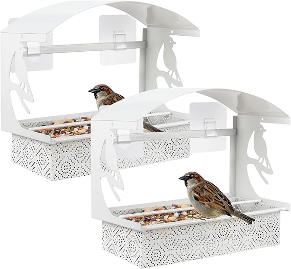 Amazon.com : Tonitrui Window Bird Feeder with Heavy-Duty Adhesive Hooks ...