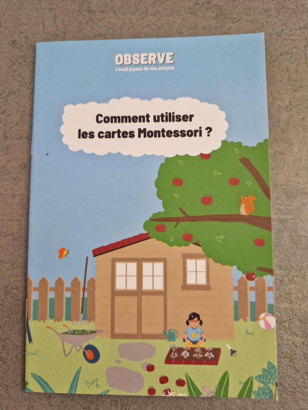 OBERVE MONTESSORI - Jeu de Cartes Éducatif d'Apprentissage de 2 à 6 ans ...