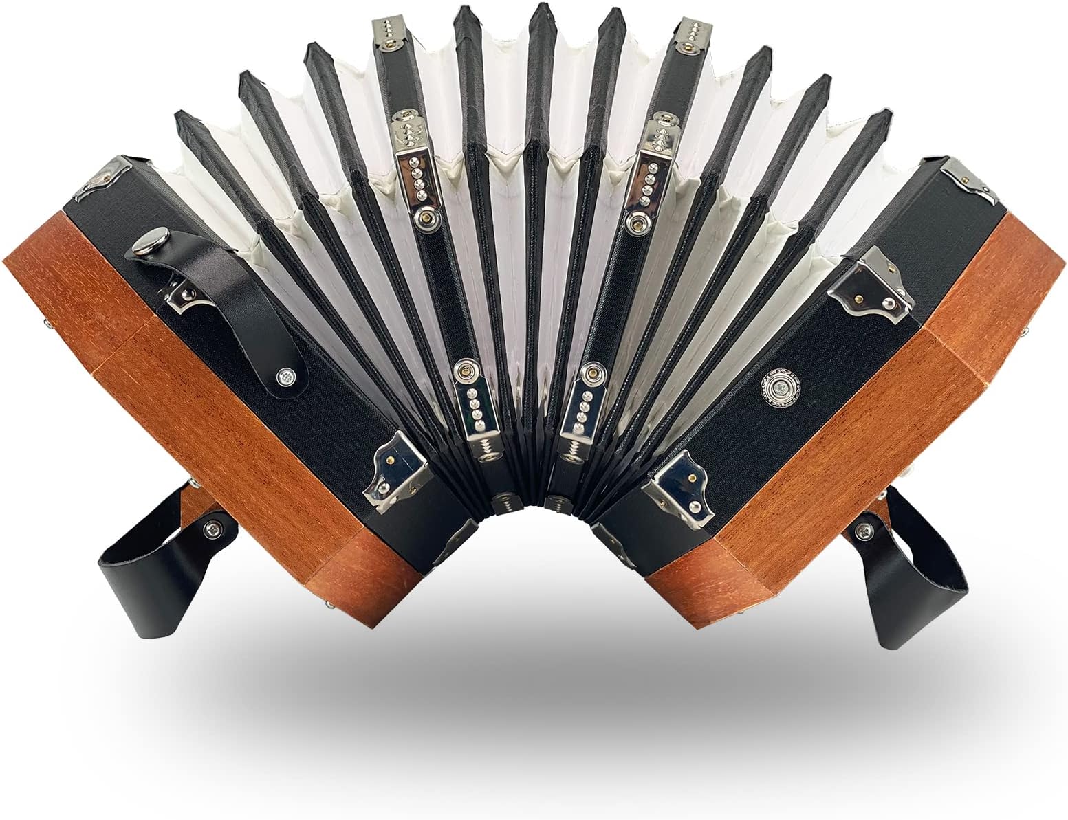 Amazon.com: Trinity College AP-20 Diatonic 20-button Anglo Concertina ...