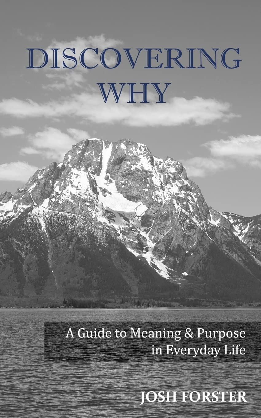 Discovering Why: Forster, Joshua J.: 9781548249212: Amazon.com: Books