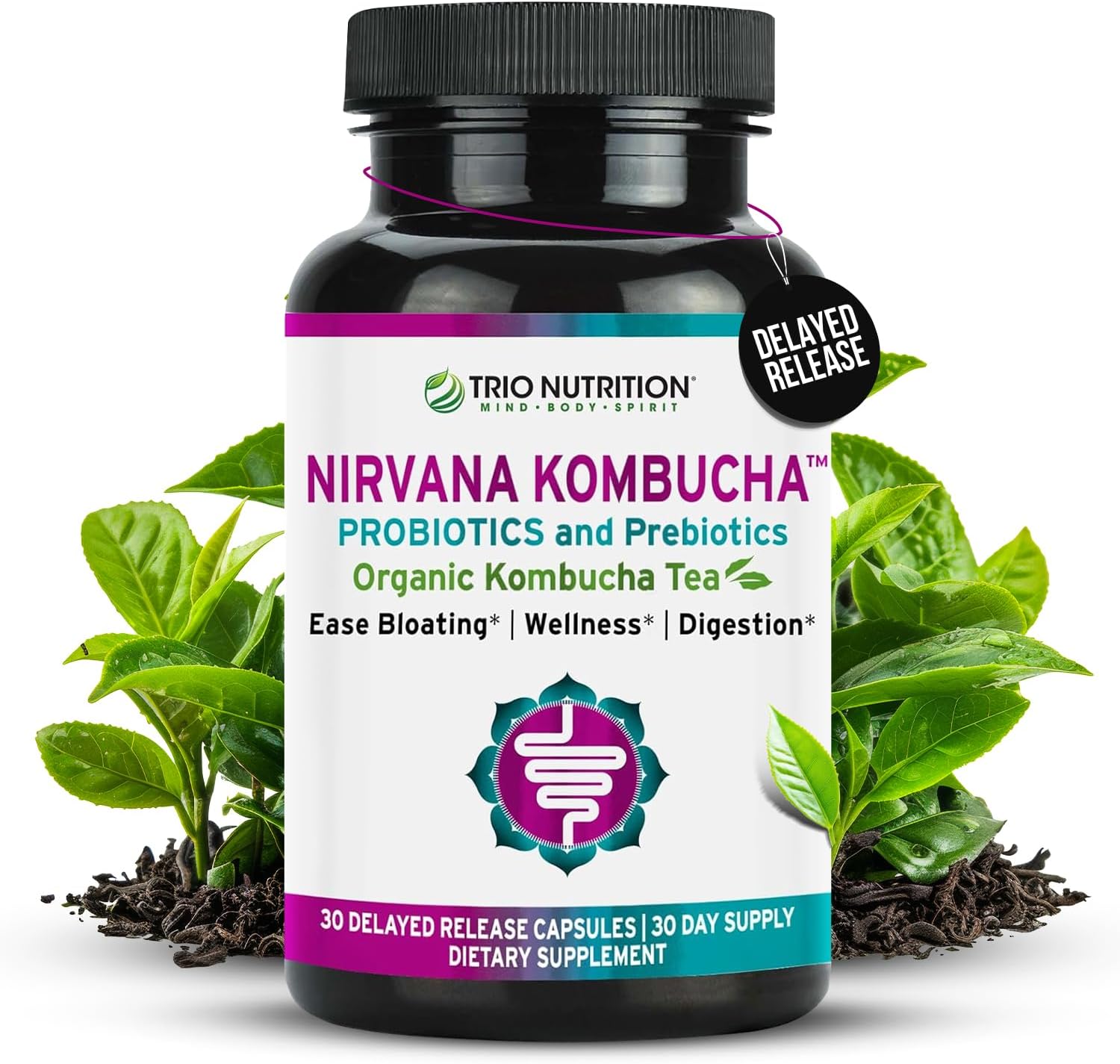 Amazon.com: TRIO NUTRITION Nirvana Kombucha - Multi-Strain Probiotics ...