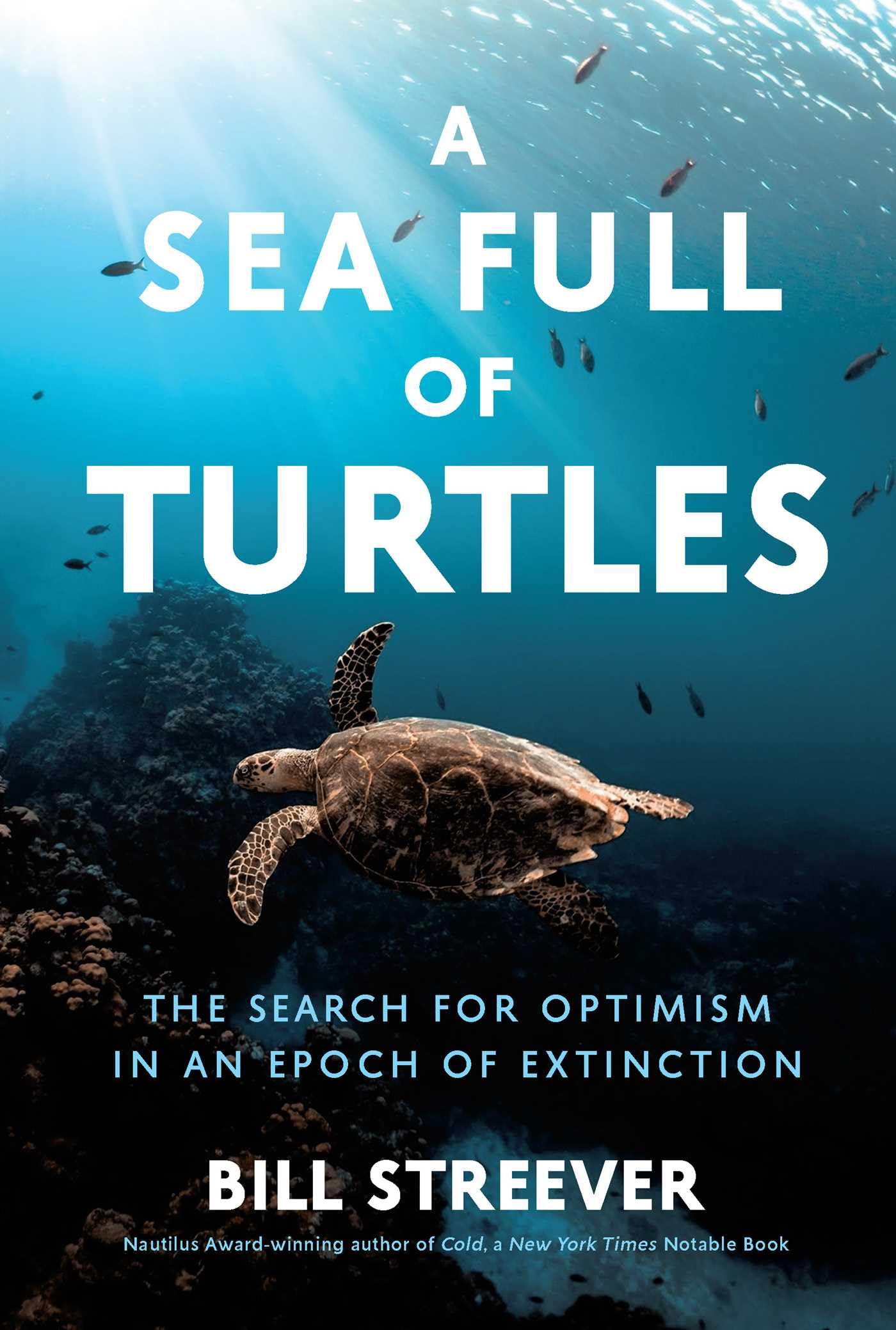 A Sea Full of Turtles: The Search for Optimism in an Epoch of ...