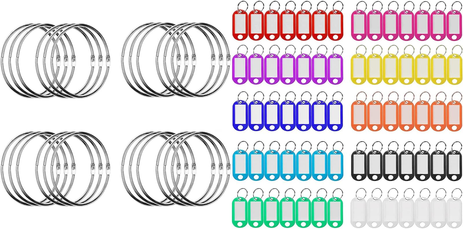 Amazon.com : Plastic Key Tags 220 Pcs with 24 Pcs 3 Inch Book Rings ...