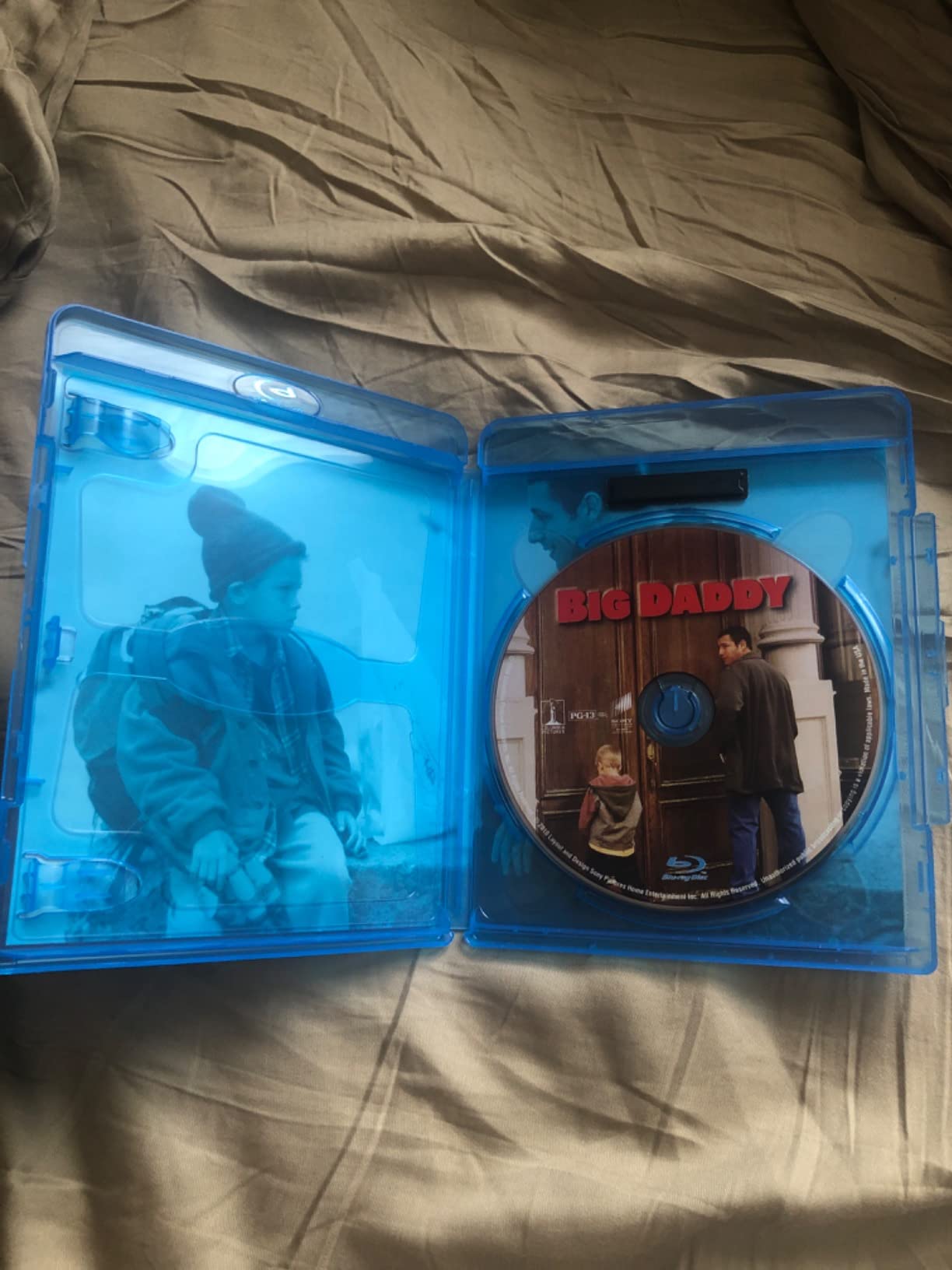 Big Daddy Bilingual: Amazon.ca: Adam Sandler, Joey Lauren Adams, Jon ...