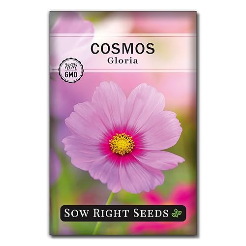 Is it Too Late to Sow Cosmos Seeds? Tips for Late Bloomers - Gardening Flow