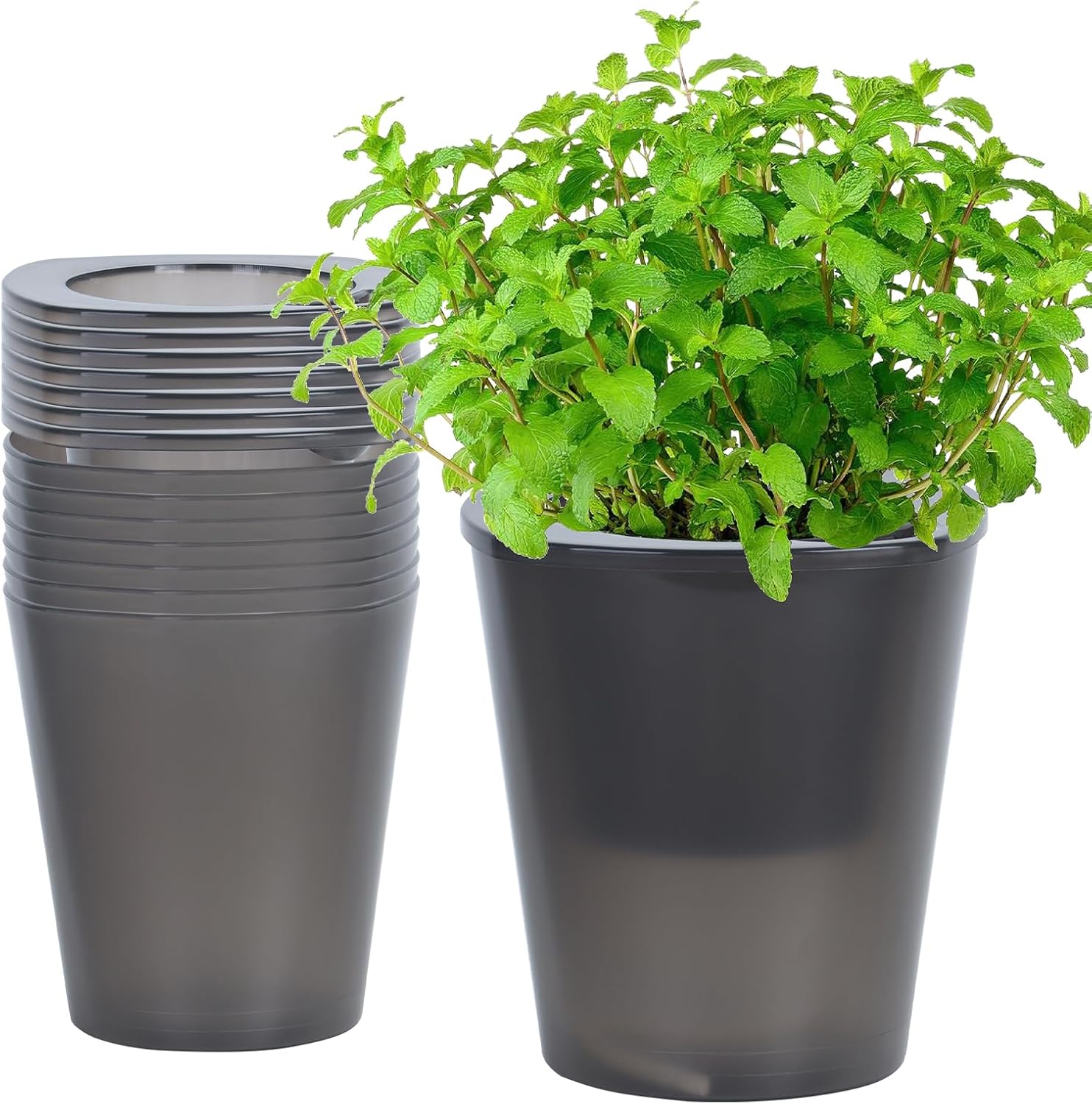 Amazon.com : Oliz Self Watering Planter 8 Pcs,4.3 Inch Flower Plant Pot ...