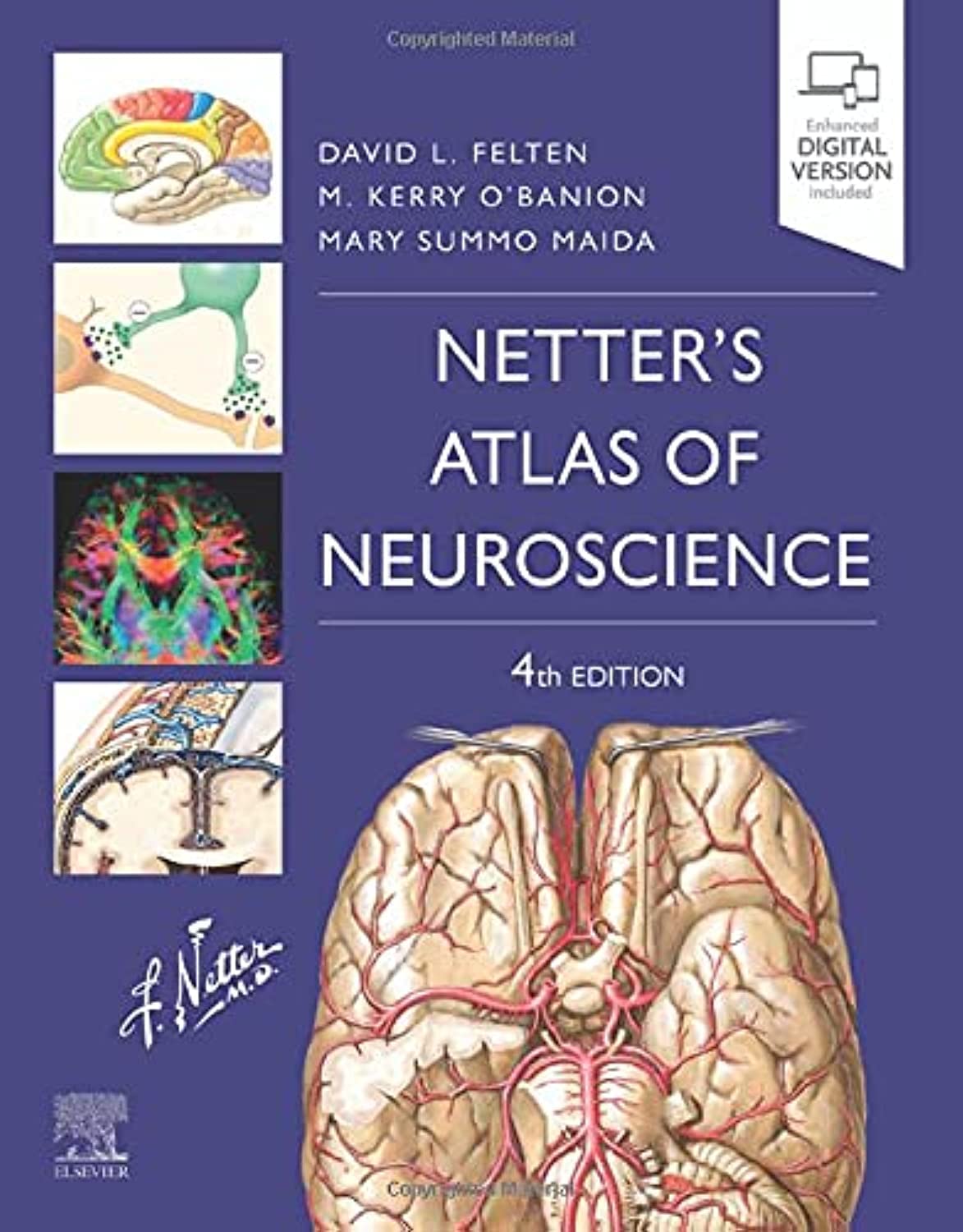 Netter's Atlas of Neuroscience (Netter Basic Science): 9780323756549 ...