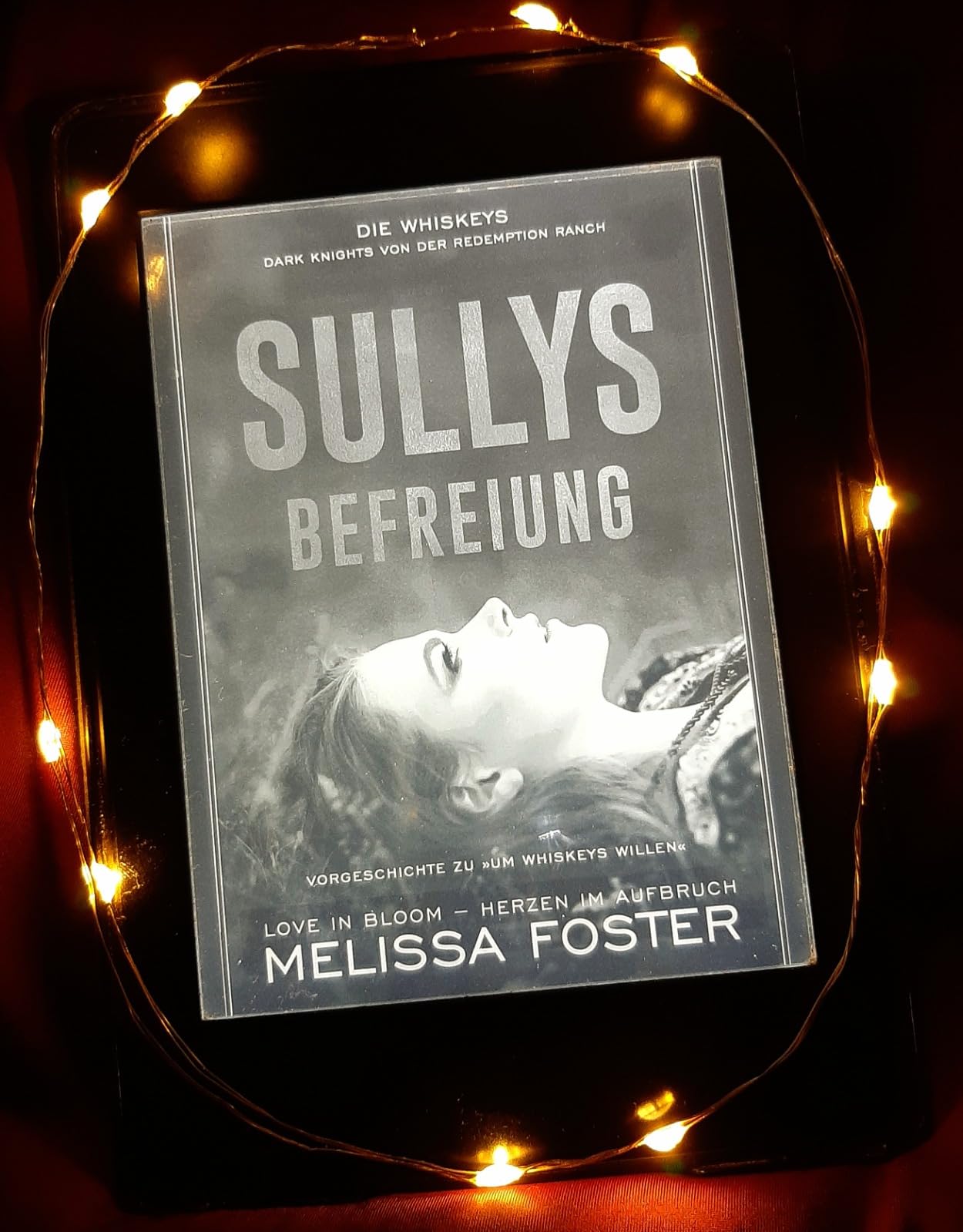 Sullys Befreiung: Vorgeschichte zu »Um Whiskeys willen« (Die Whiskeys: Dark Knights von der ...