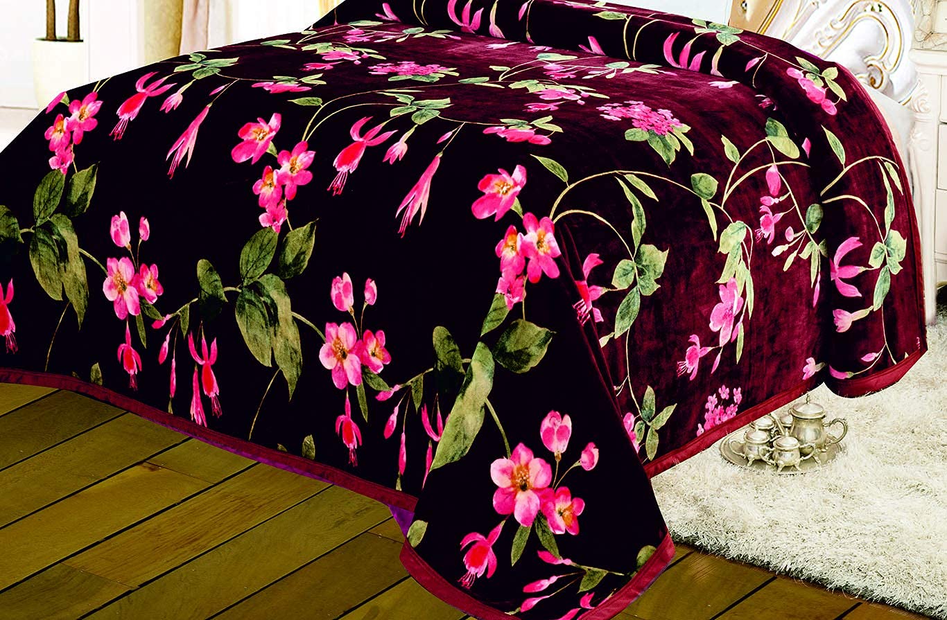Buy SIGNATURE Elanza Single Bed Super Soft Light Weight Warm Durable ...