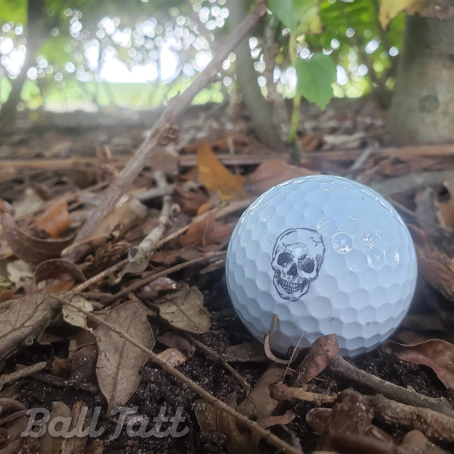 Snapklik.com : Skull Man Golf Ball Stamp, Golf Ball Stamper, Self ...