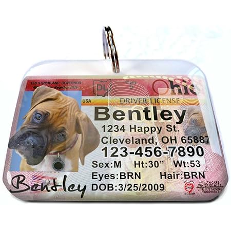 Amazon.com : ID4Pet Idaho Driver License tags for Cats or Dogs (Regular ...