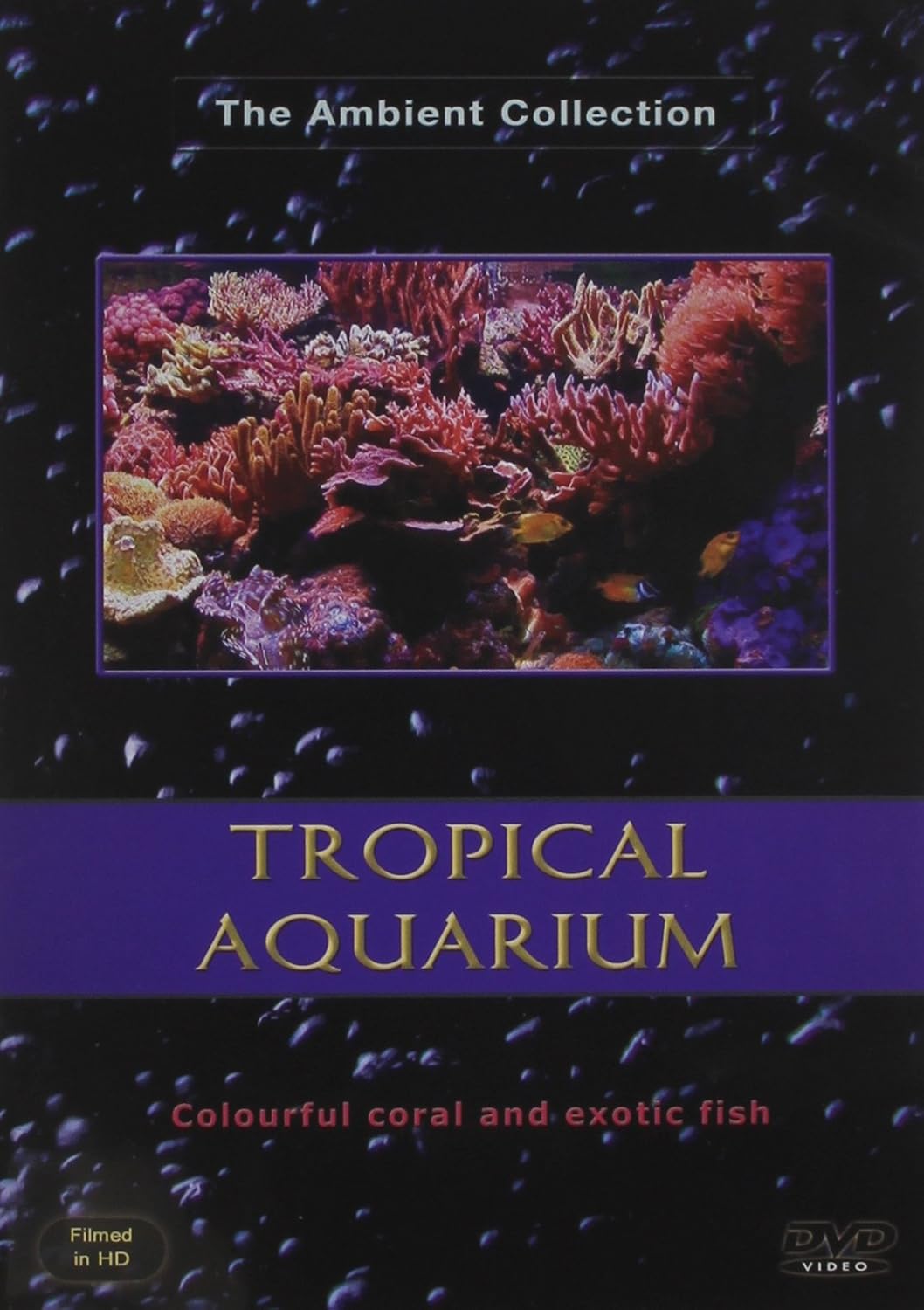 Amazon.com: Aquarium DVD - with Scenes of Tropical Fishes in Fish Tanks ...