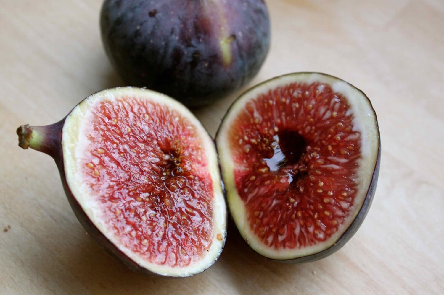 Amazon.com : 100 Sweet Honey FIG tree seeds - Fragrant - King Figs ...