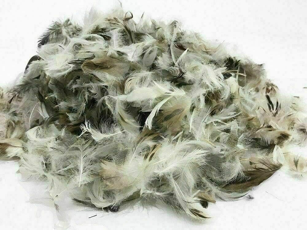 HOMESCAPES Feather Stuffing or Filling for Cushions Pillows and Toys ...