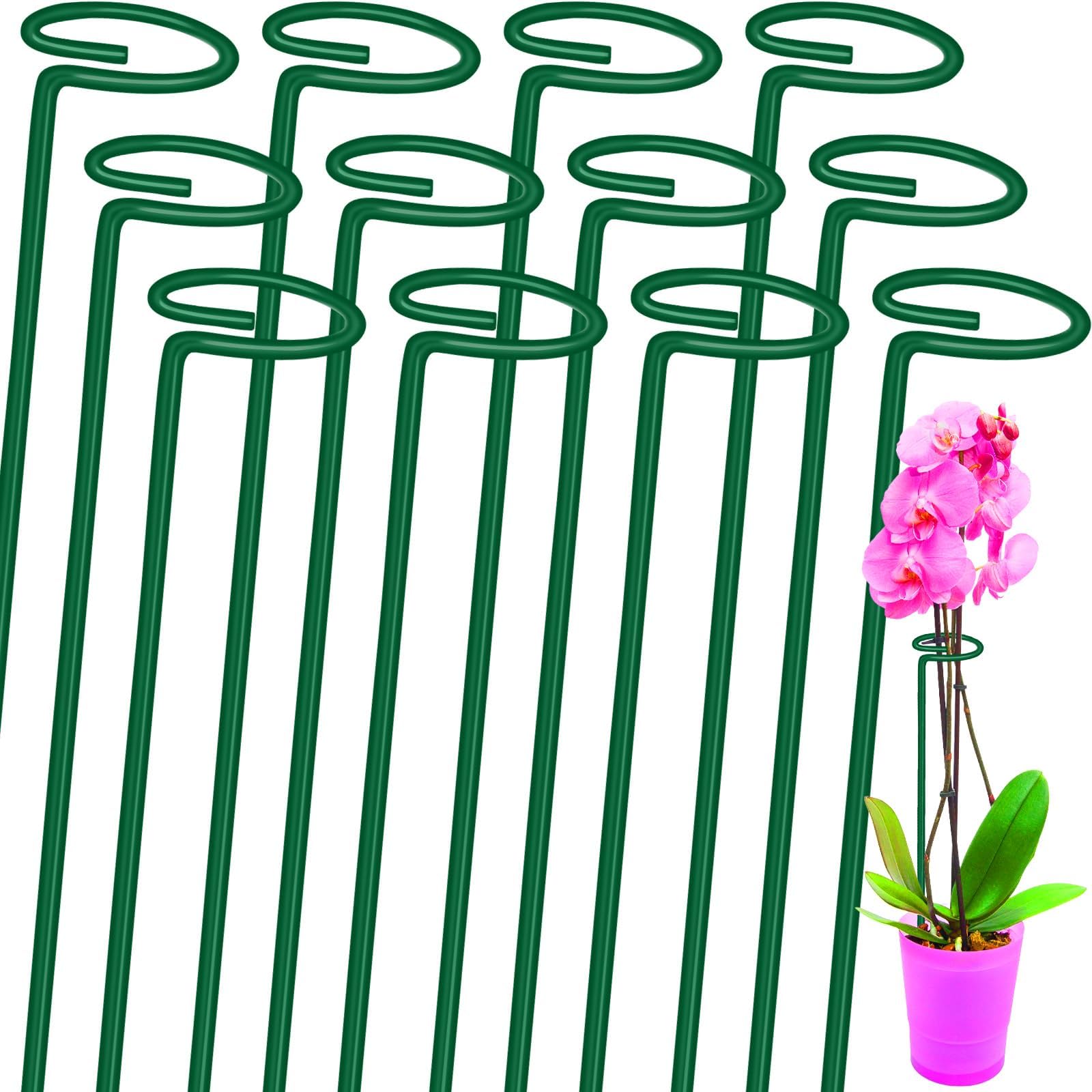 Amazon.com : Dreecy 12 Pack 16 Inch Orchid Support Stakes, Sturdy Metal ...