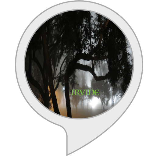 Amazon.com: Game Of Irvine : Alexa Skills