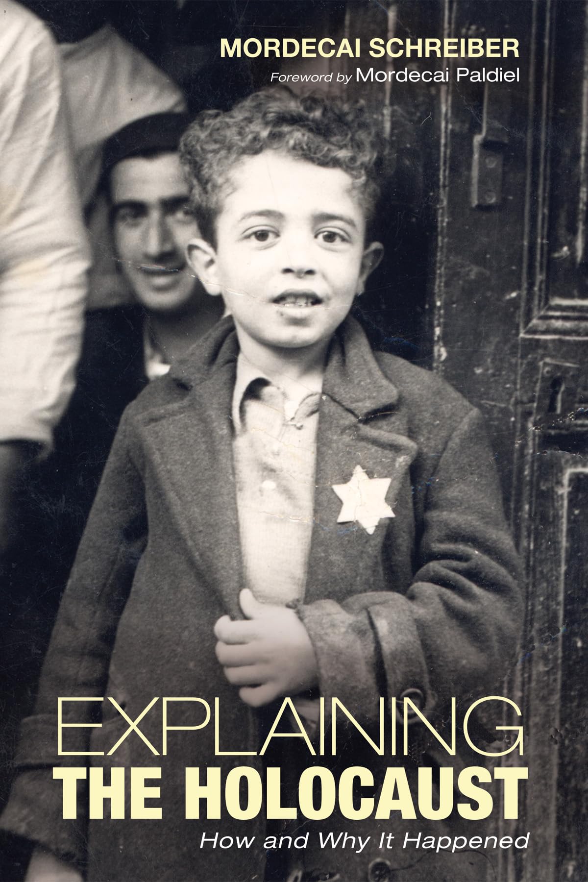 Explaining the Holocaust: How and Why It Happened: Amazon.co.uk ...